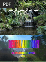 Deciduous Teeth Identification Guide | PDF | Dental Anatomy | Tooth