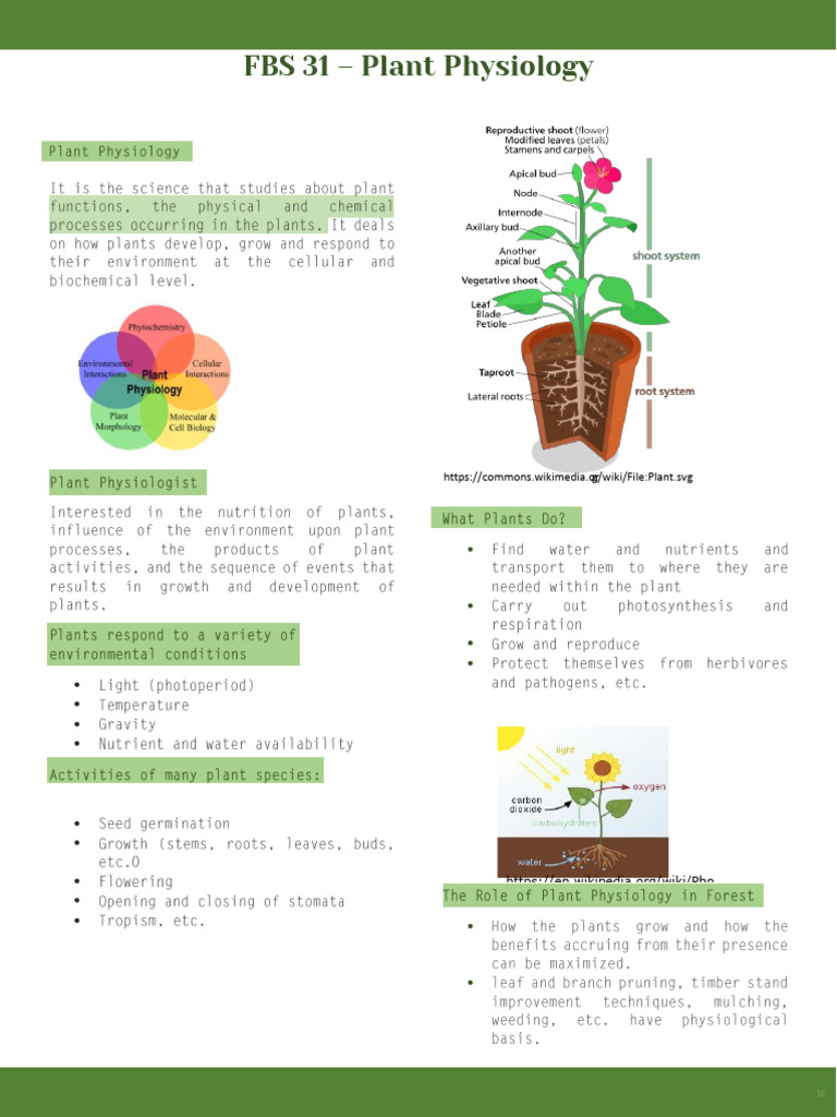Plant Physio Reviewer | PDF