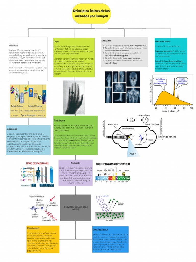 Mapa Conceptual Pdf