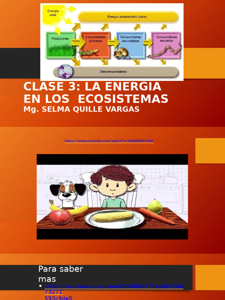 Tema 3 | PDF | Biomasa (Ecología) | Red alimentaria