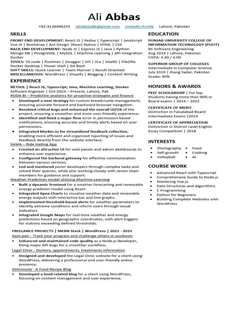 Ali Abbas | PDF | User Interface | Word Press