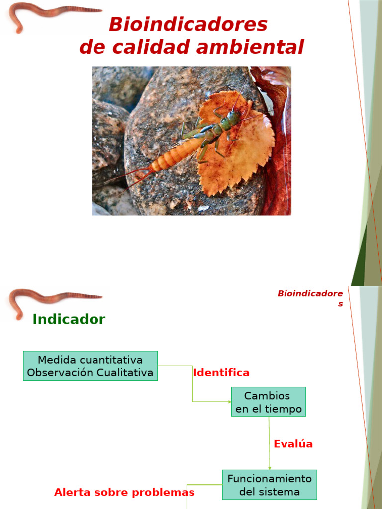 Bioindicadores | PDF | Suelo | Entorno natural