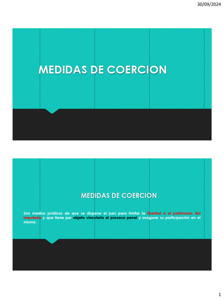 Medidas de Coercion 2024 | PDF | Ley procesal | Juez