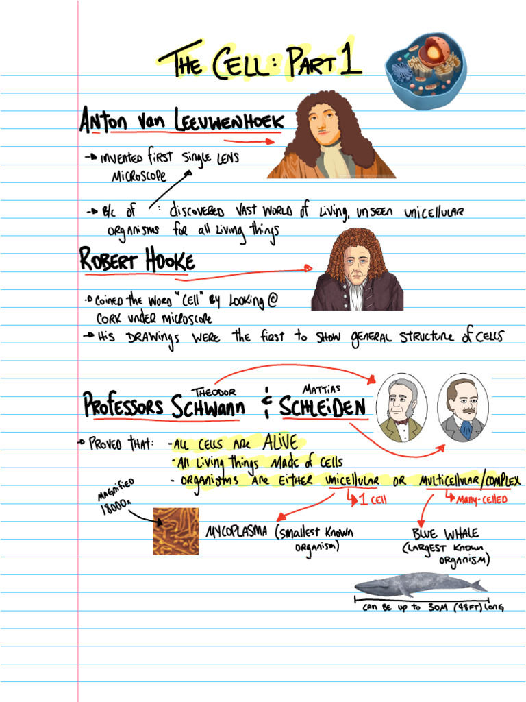 L3 The Cell Part 1 | PDF