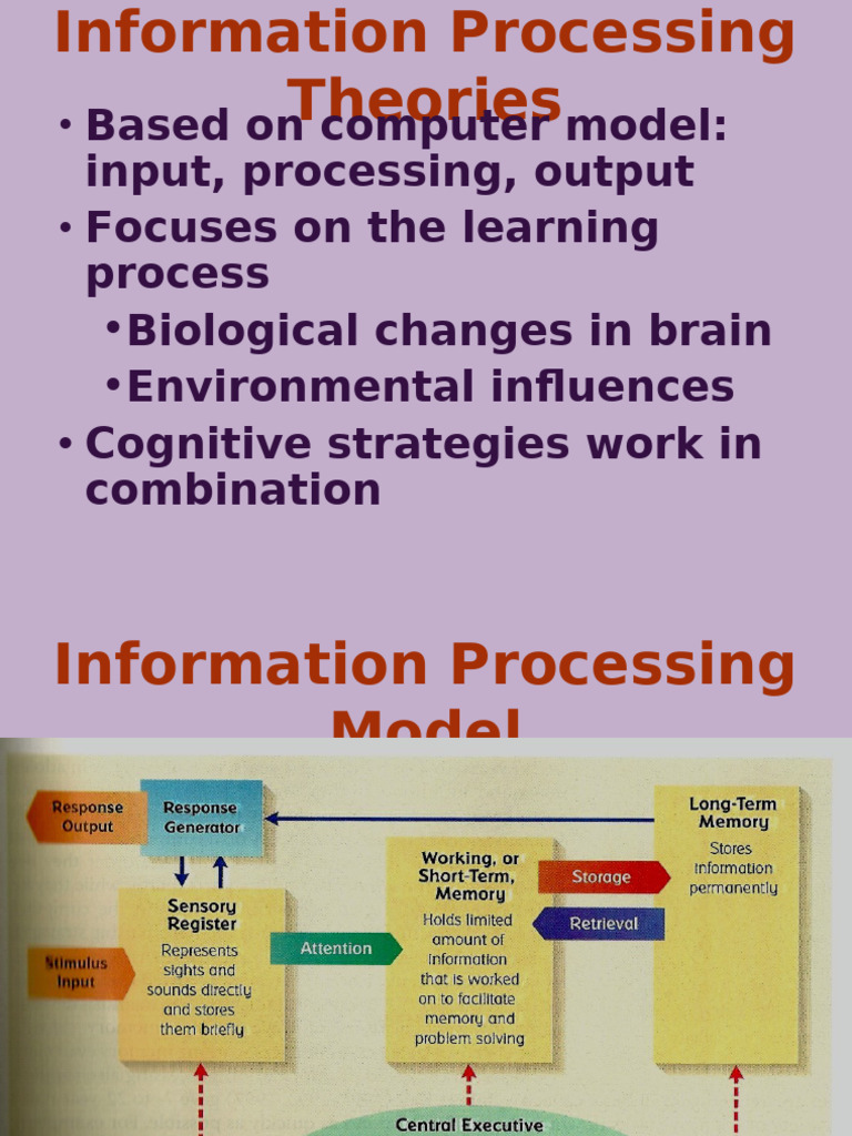 Information Processing Theory | PDF | Self-Improvement