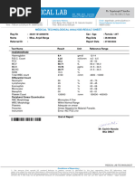 CBC Test Report Format Example Sample Template Drlogy Lab Report | PDF ...
