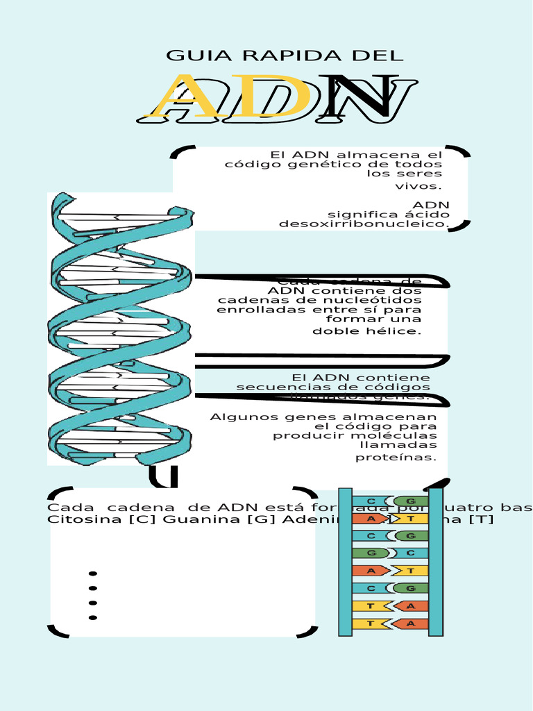 Colorful Pastel DNA Science Infographic (Infografías) (8 X 20 CM) | PDF