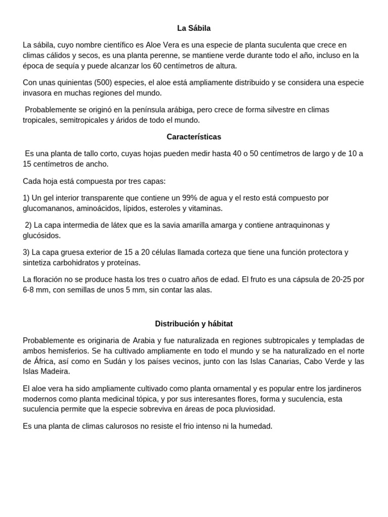 La Sábila Exposicion | PDF