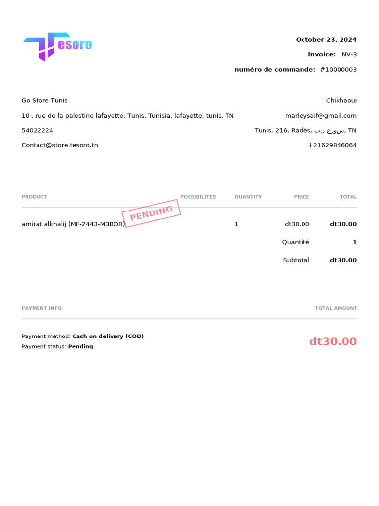 Pending: October 23, 2024 Invoice: INV-3 Numéro de Commande: #10000003 | PDF