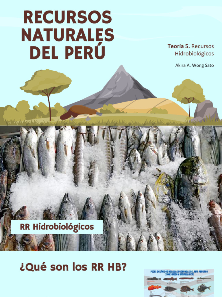 RRNN Hidrobio | PDF | Perú | Agua