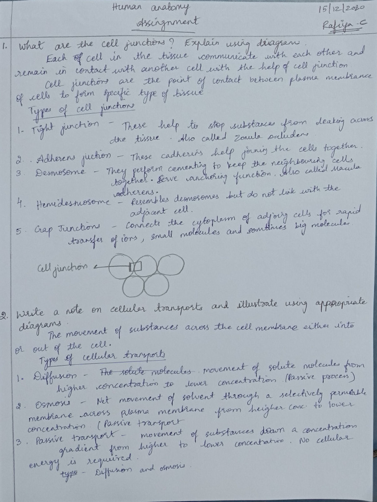0_Rafiya_HAP_assignment 1 | PDF