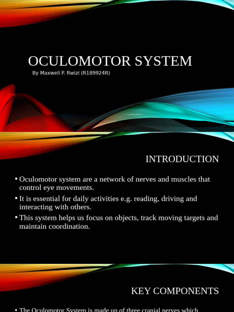 Understanding the Oculomotor System | PDF | Eye | Human Anatomy
