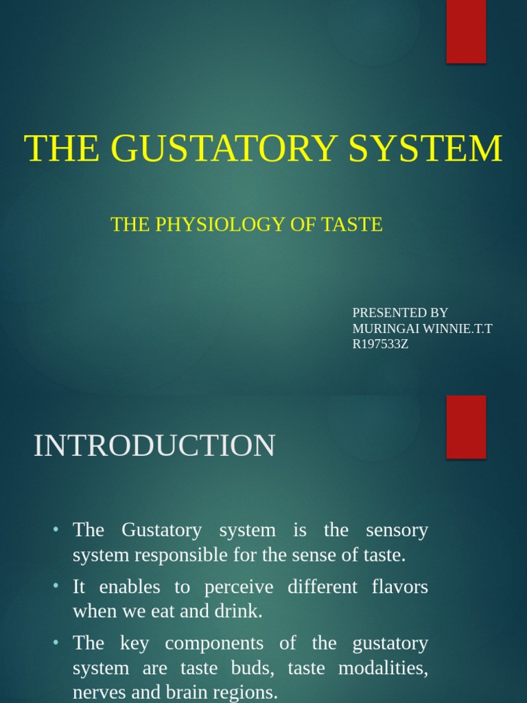 Understanding the Gustatory System | PDF | Taste | Senses