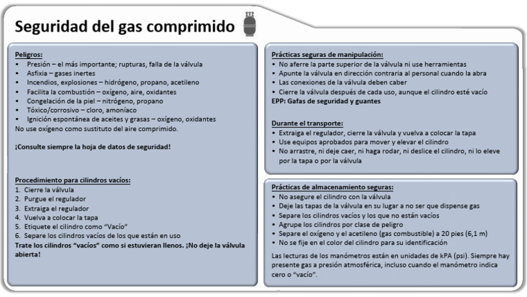Seguridad Del Gas Comprimido Pdf Oxígeno Combustión