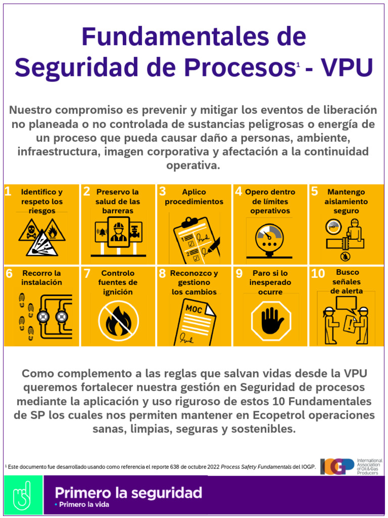 Fundamentales de Seguridad de Procesos VPU | PDF | Riesgo | La seguridad informática