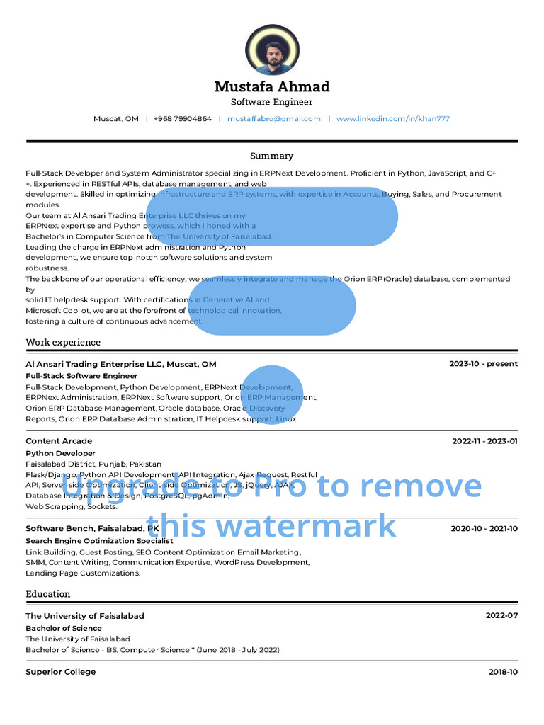 Mustafa Ahmad VisualCV Resume | PDF | Enterprise Resource Planning ...
