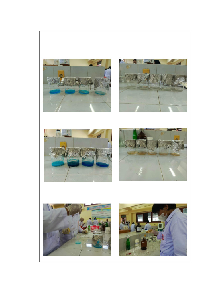 Dokumentasi Laprak Kimdas Reaksi Kimia | PDF