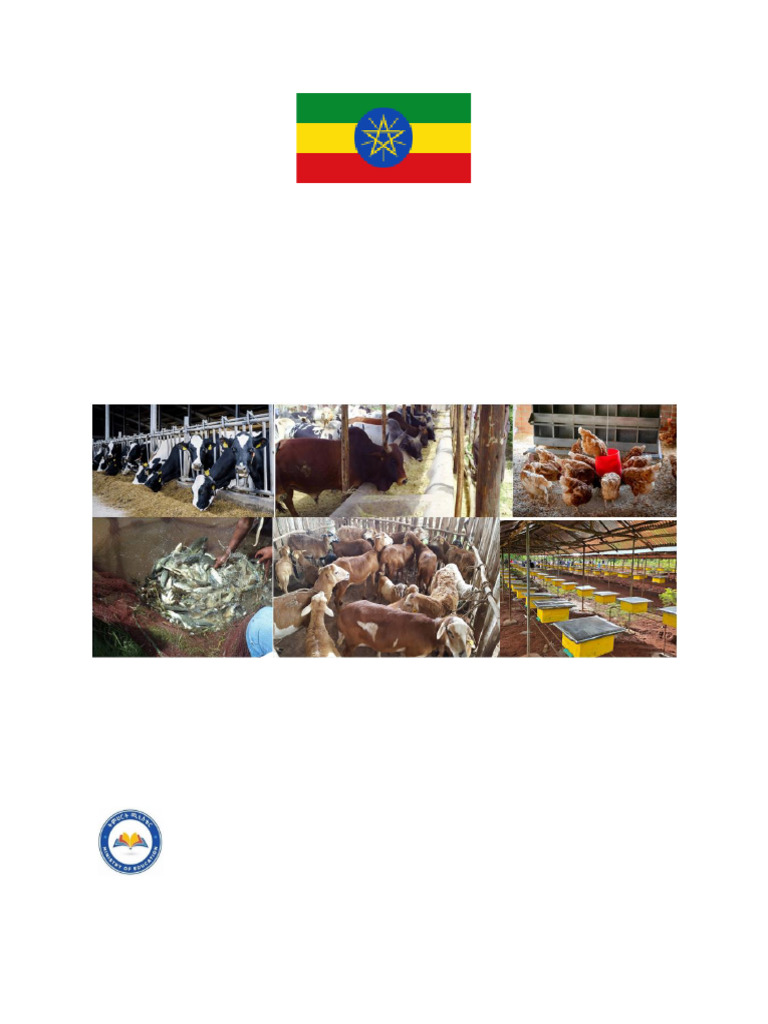 5. Grade 11 and 12 Animal Production Flowchart 3 Sep 24 | PDF ...