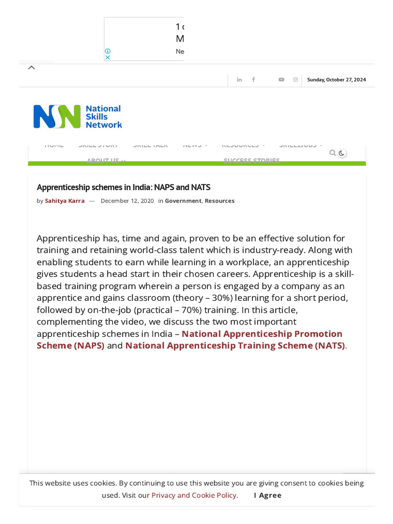 Apprenticeship Schemes in India_ NAPS and NATS | PDF | Apprenticeship | Vocational Education