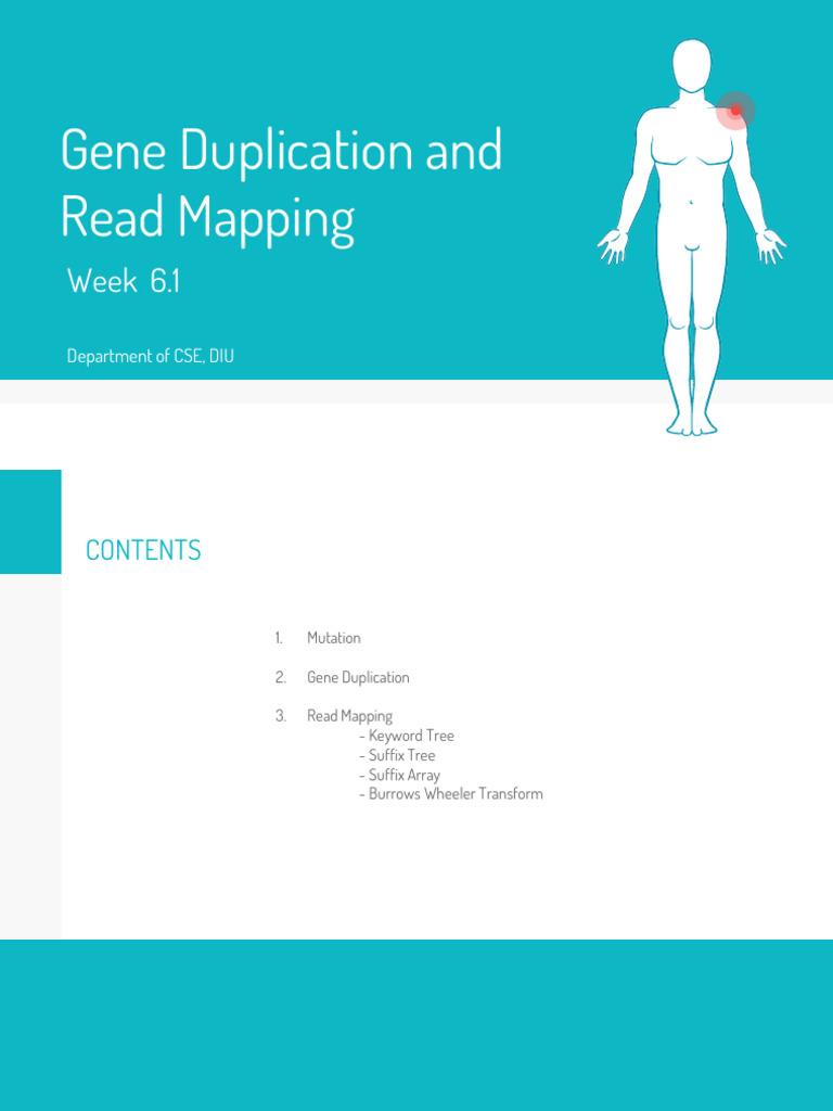 Lecture 6.1 Gene Duplication and Read Mapping | PDF | Gene Duplication | Gene