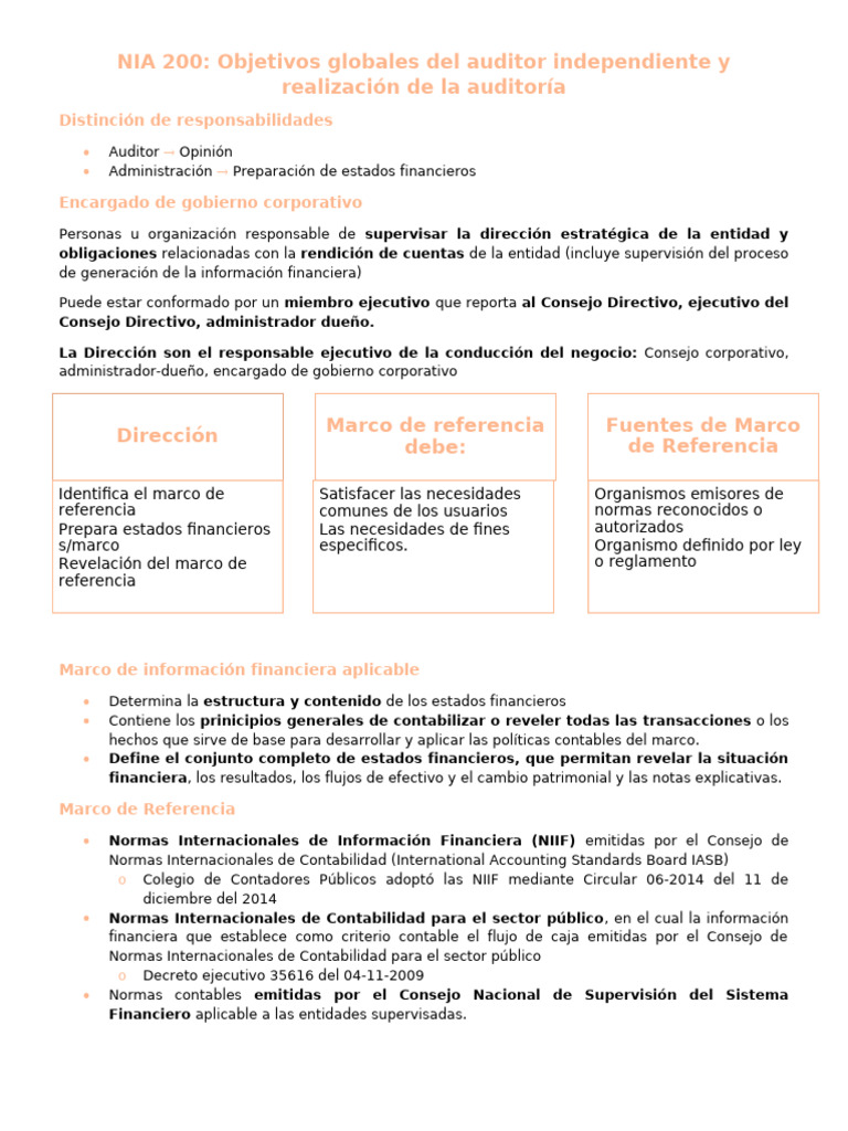 Presentación NIA 200 | PDF | Auditoría | normas internacionales de ...