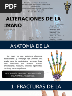 Mano en Garra: Causas y Tratamientos | PDF | Mano | Nervio