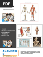 Signo del Témpano y Fabela en Rodilla | PDF | Rodilla | Pie