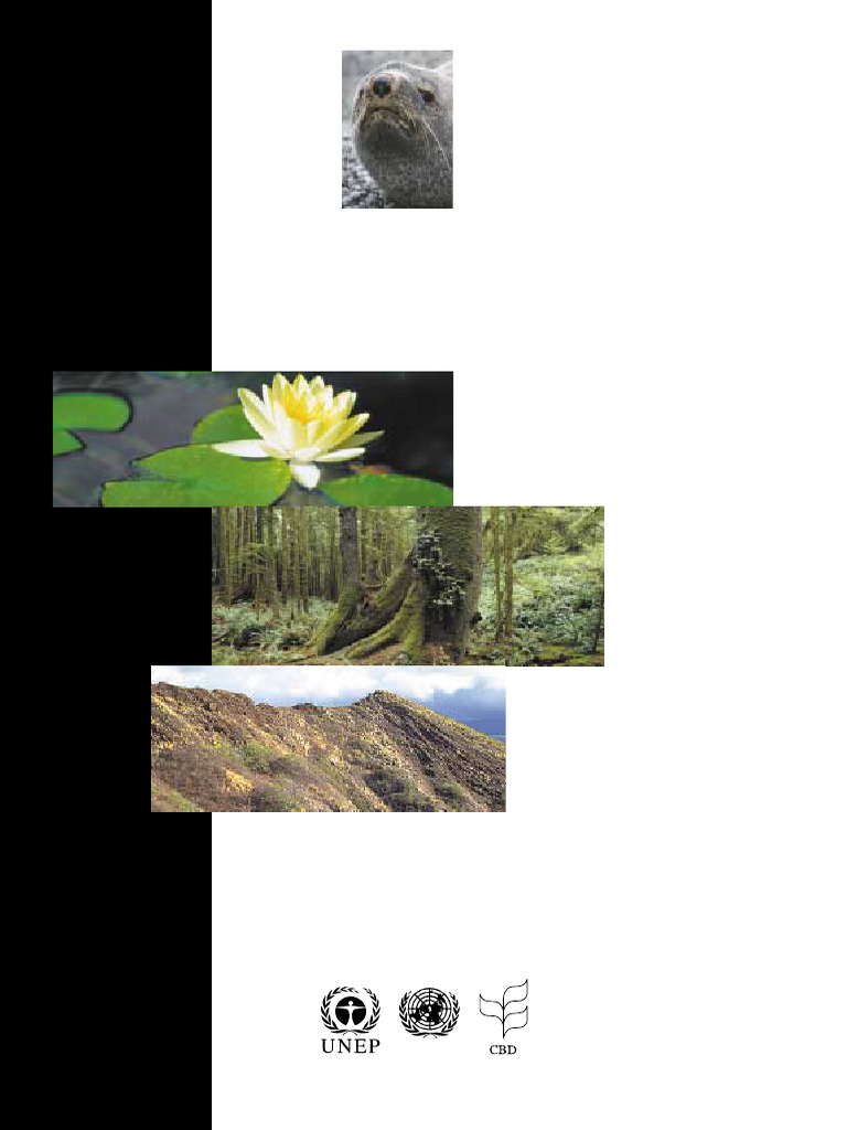 Sustainable Management of Non-Timber Forest Resources | PDF | Staple ...
