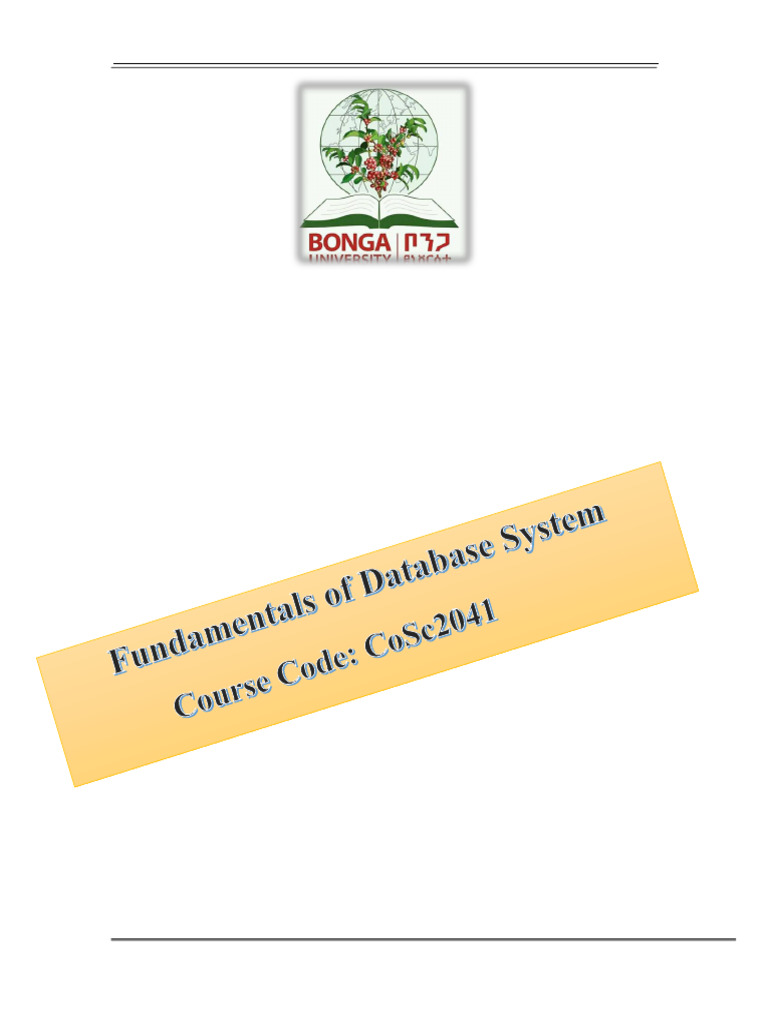 Fundamentals of Database Systems | PDF | Databases | Relational Database