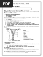 La Reproduction Chez L'homme | PDF | Cycle menstruel | Utérus
