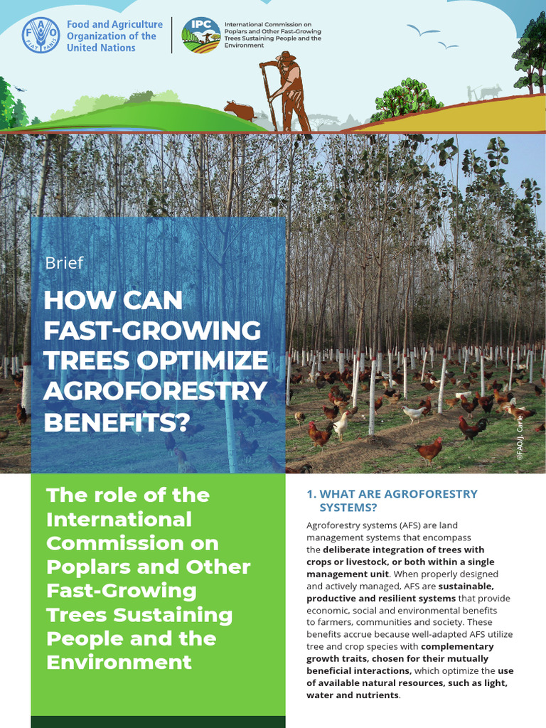 Policy Breif - How Can Fast-Growing Trees Optimize Agroforestry ...