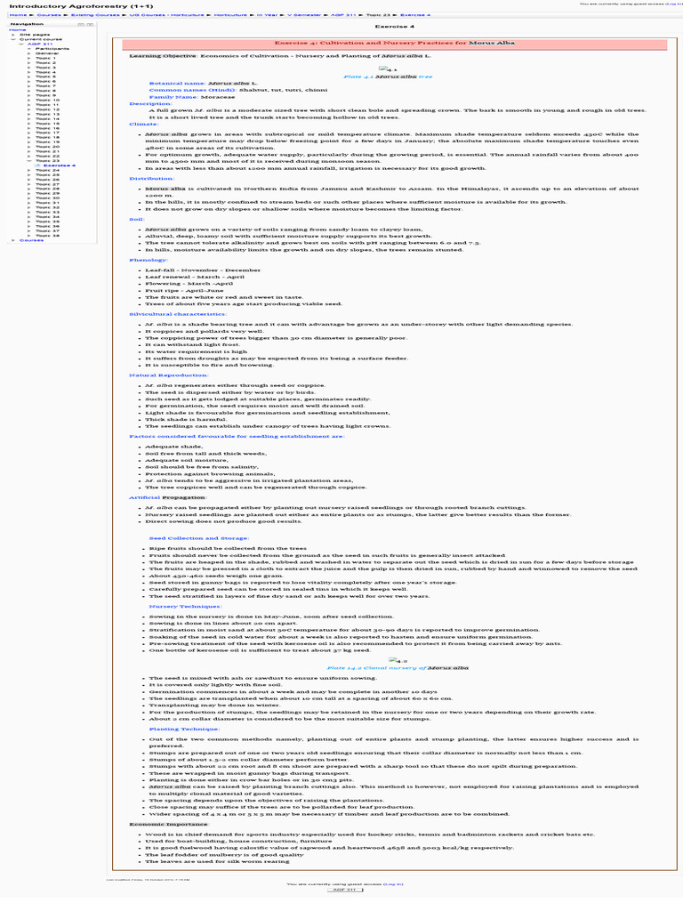 AGF 311_ Exercise 4 | PDF | Seed | Plant Nursery