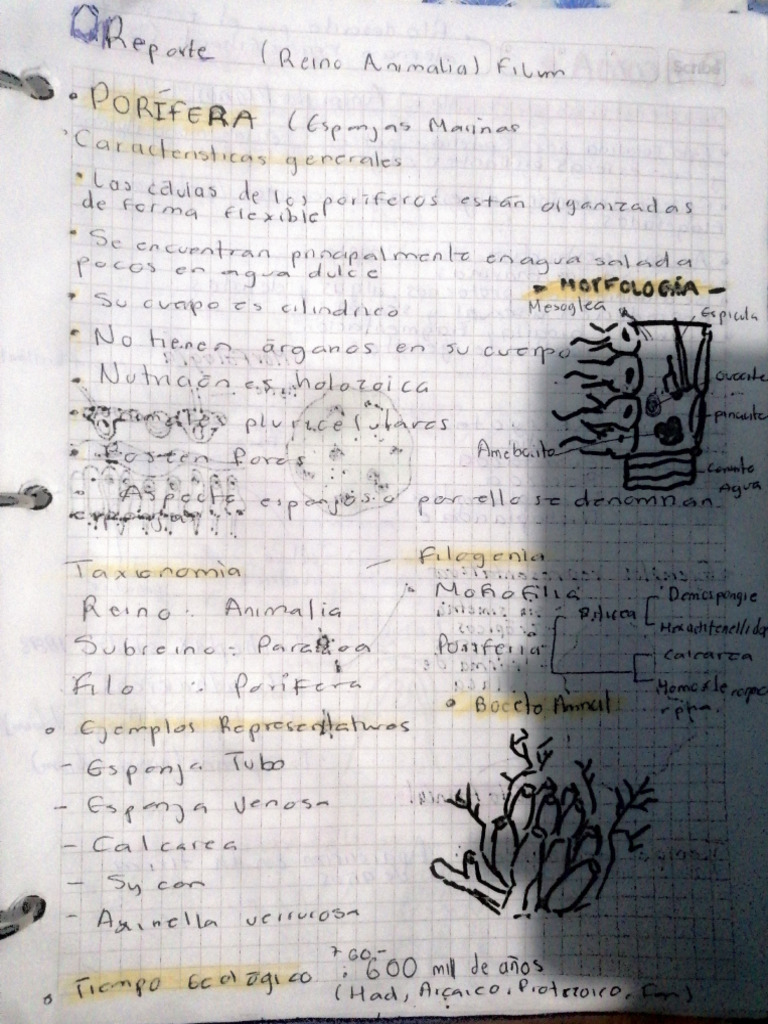 Flor Itzel Frias, Reporte | PDF