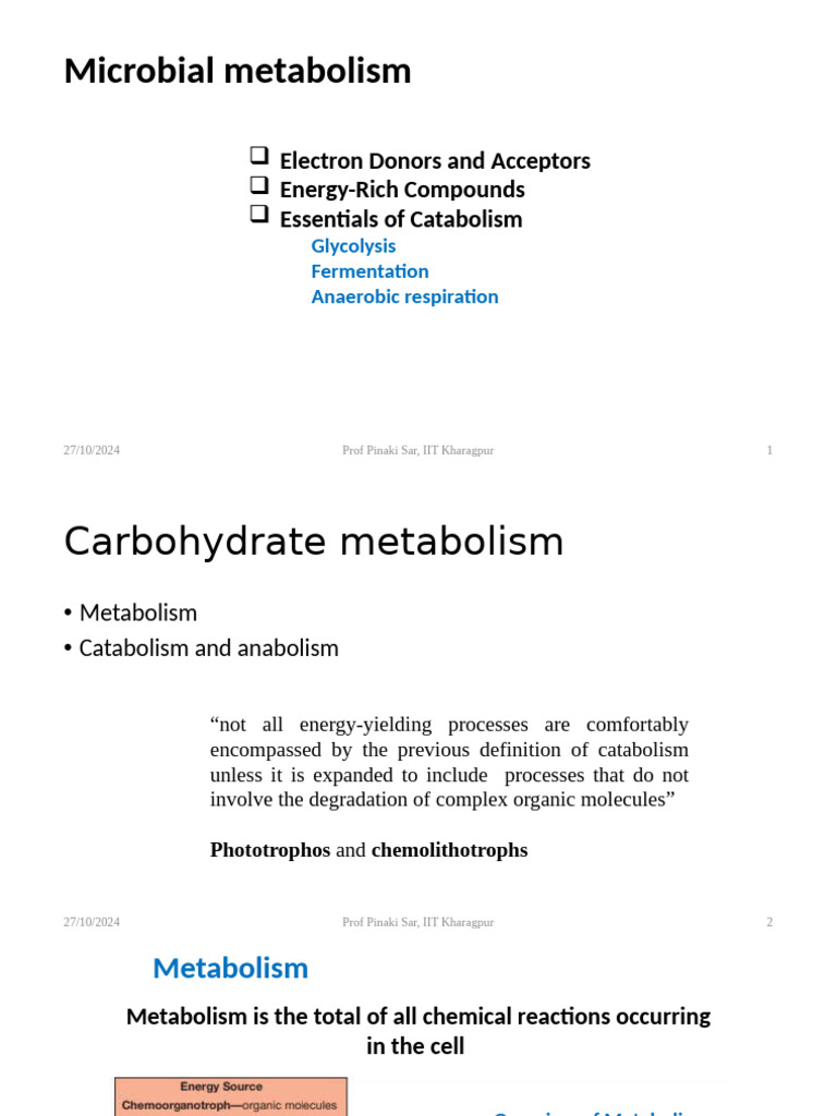 Metabolism | PDF