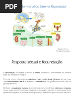 Funções e Ciclos das Gônadas Humanas | PDF | Hormônio luteinizante | Ovário