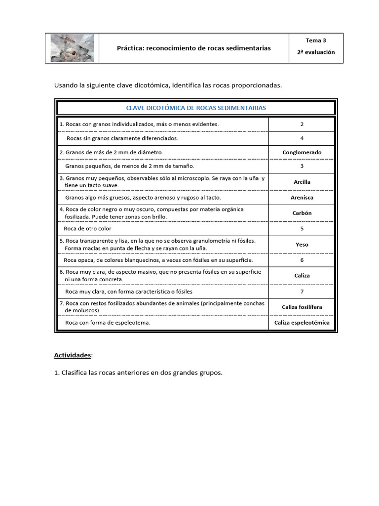 Practica Rocas Sedimentarias | PDF | Hogar, jardinería y bricolaje