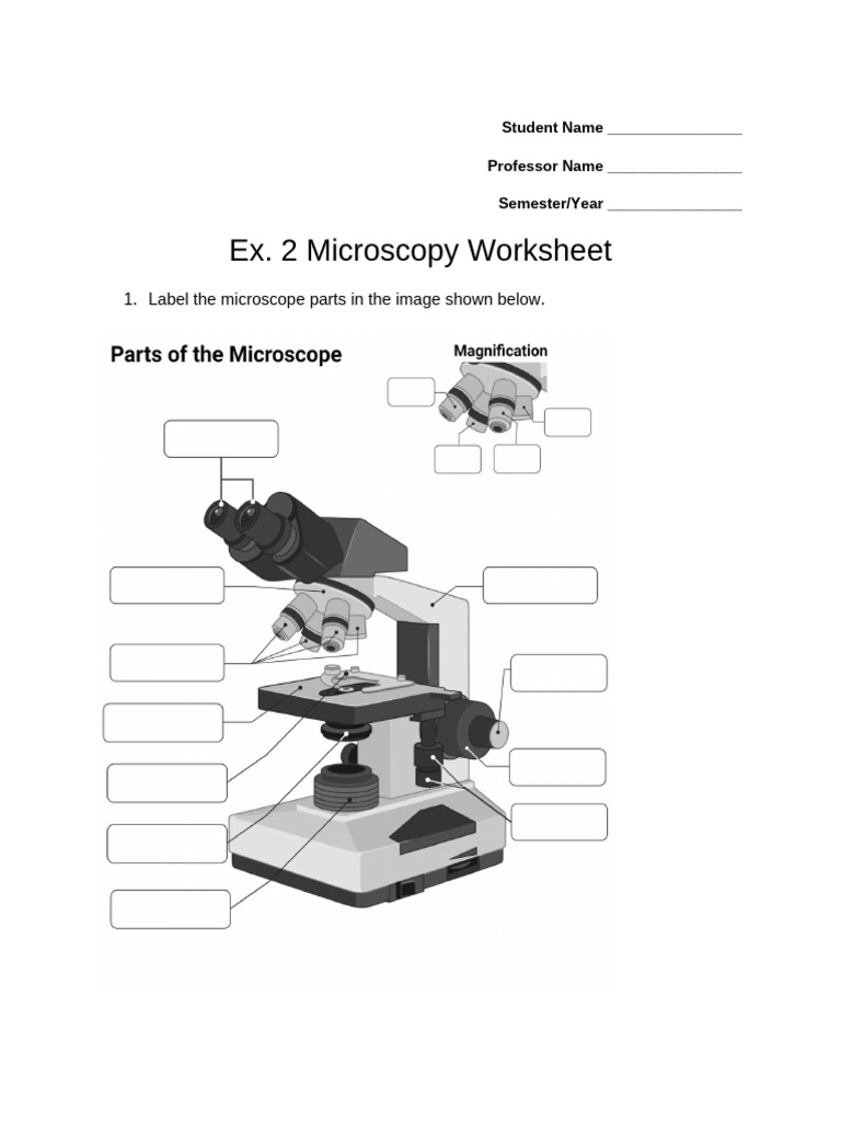 Ex. 2 Microscopy Worksheet | PDF | Glass Applications | Scientific ...