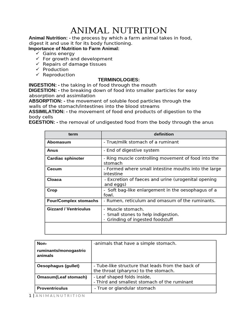Agric-Grade 11 (Term 2) - Animal Nutrition - 081030 | PDF | Digestion ...