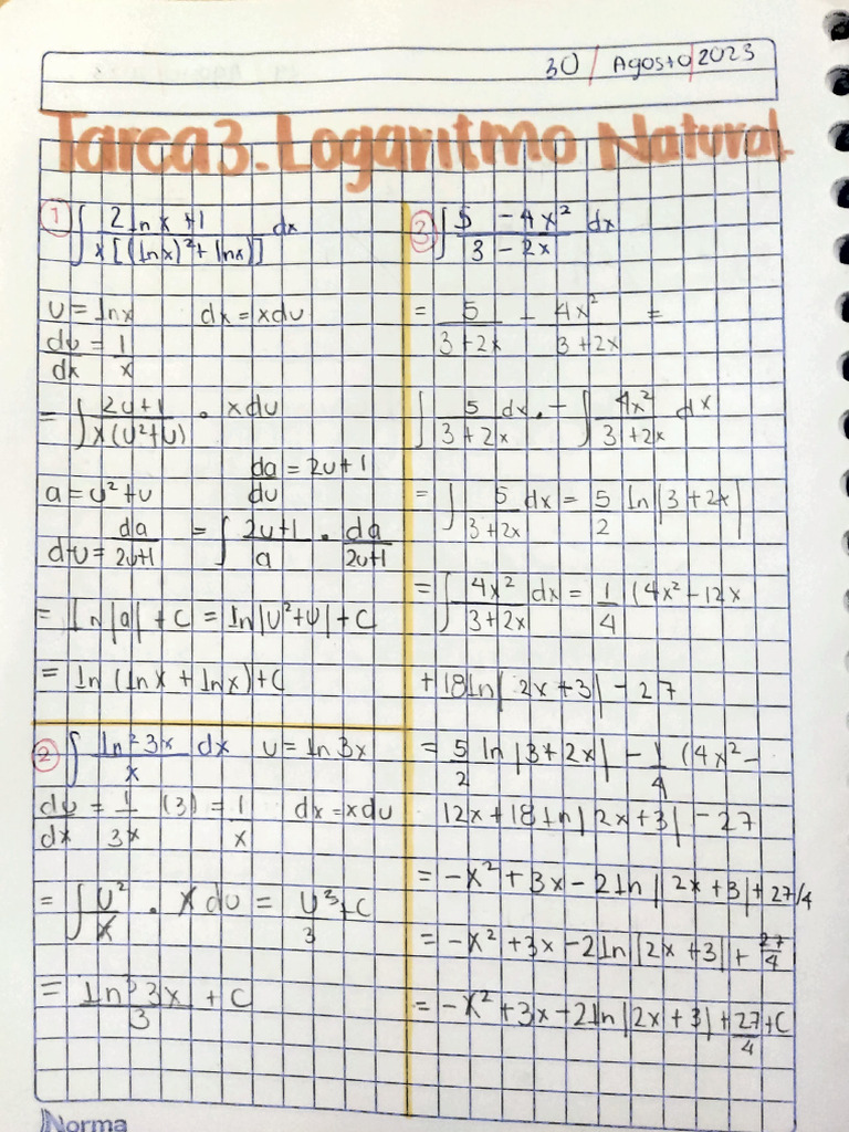 Logaritmo Natural | PDF