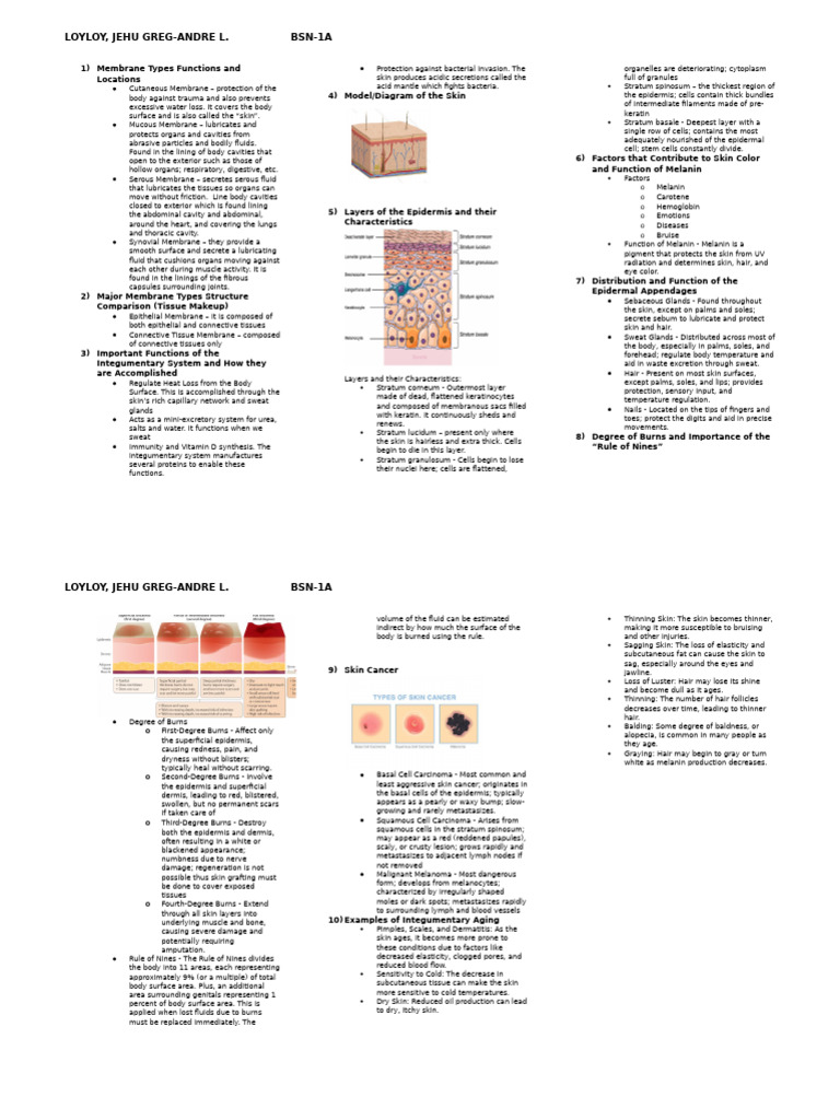 Membrane Types Functions and Locations | PDF | Skin | Epidermis