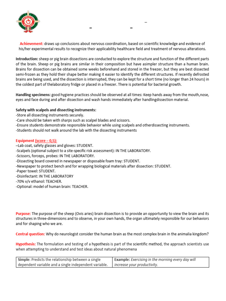 LAB REPORT - BRAIN DISECTION - 2024 - Reparado-1 | PDF | Cerebrum ...