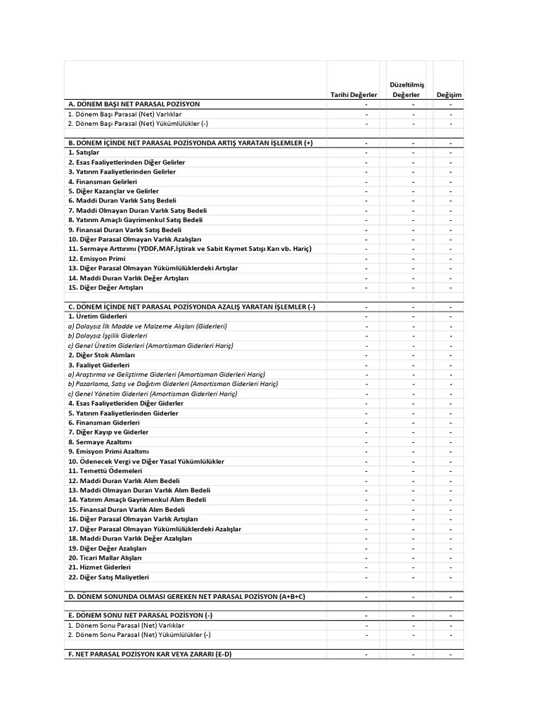 Net Parasal Pozisyon Tablosu | PDF