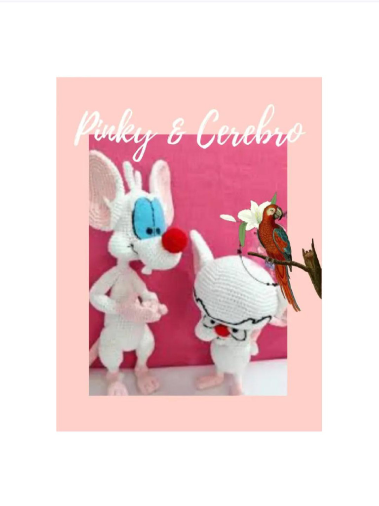 Pinky & Cerebro | PDF
