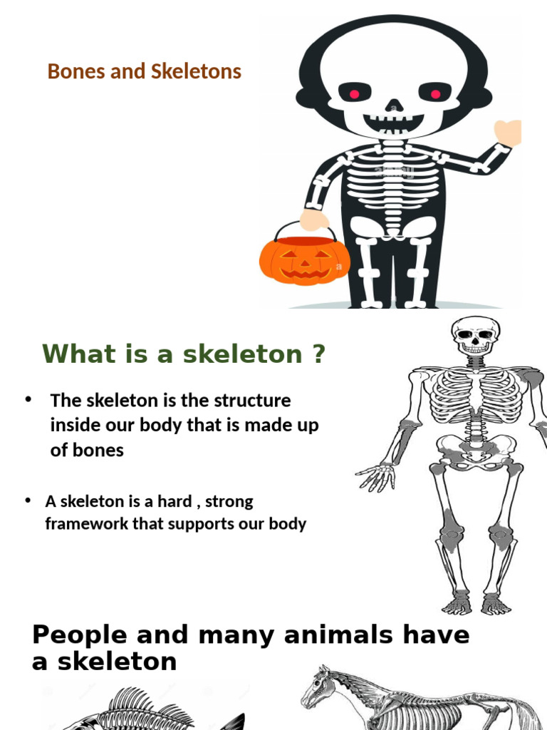 Skeleton | PDF