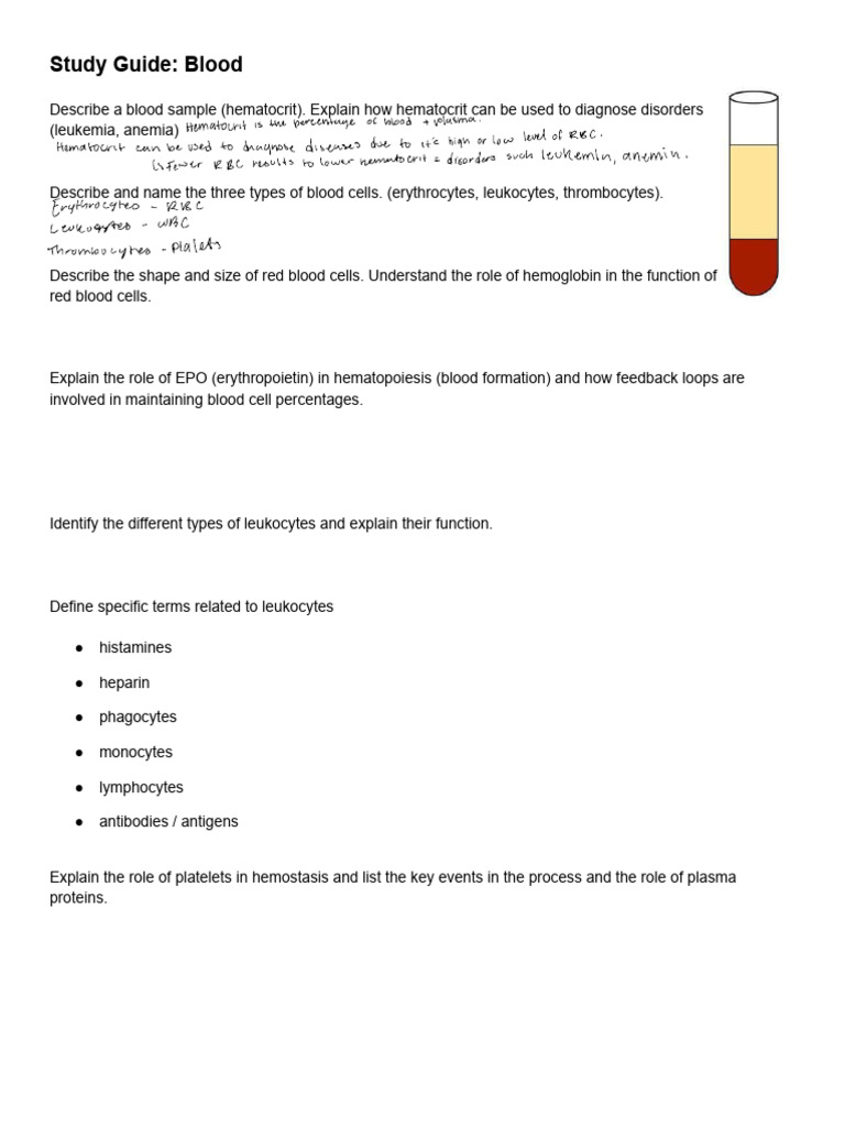 Study Guide_ Blood | PDF
