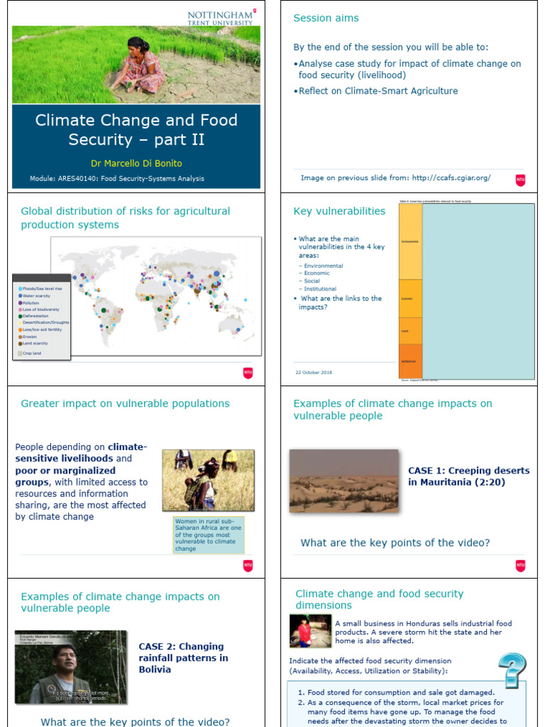 Climate Change & Food Security Analysis | PDF | Agriculture | Food Security