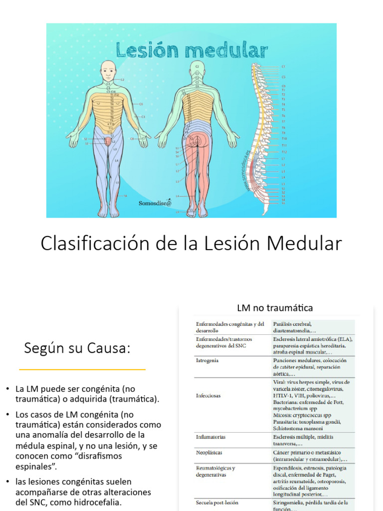 Clasificación de La Lesion Medular | PDF | Lesión de la médula espinal | Parálisis cerebral