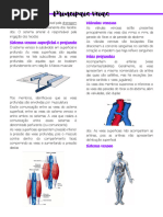 Anatomia do Sistema Venoso Ázigo | PDF | Fígado | Abdômen