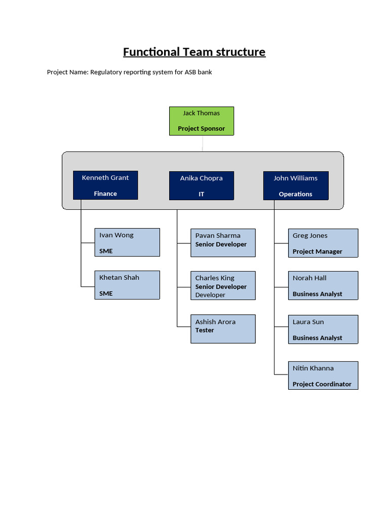 Project Team Structure Template | PDF