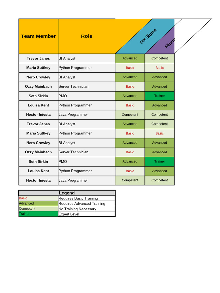 Employee Competency Matrix | PDF | Computing | Software